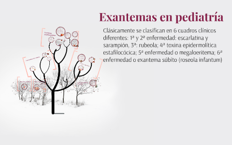 Exantemas en pediatría by CRISTINA BIDEGAIN on Prezi