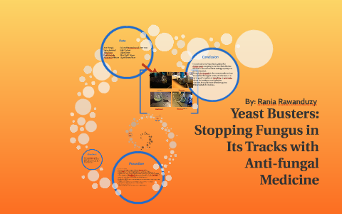 Yeast Busters: Stopping Fungus in its Tracks with Anti-funga by Rania ...