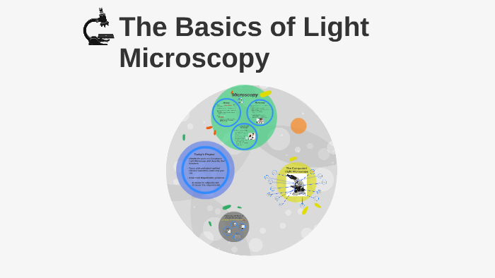 The Basics of Light Microscopy by Kassandra Harris on Prezi