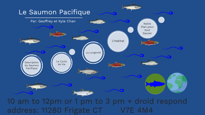 Le Saumon Pacifique by Geoffrey Bian on Prezi