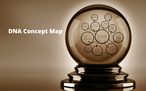 DNA Concept Map by Becky Mus on Prezi