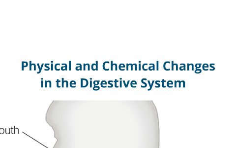 Chemical and Physical Changes in the Digestive System by Ariel Calderon ...