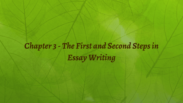 Chapter 3 - The First and Second Steps in Essay Writing by Kristine ...