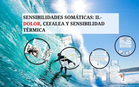 SENSIBILIDADES SOMÁTICAS: II.- DOLOR, CEFALEA Y SENSIBILIDAD by Alan Calderon on Prezi