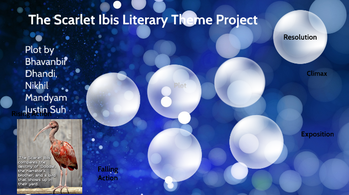 The Scarlet Ibis Plot by Bhavanbir Dhandi on Prezi