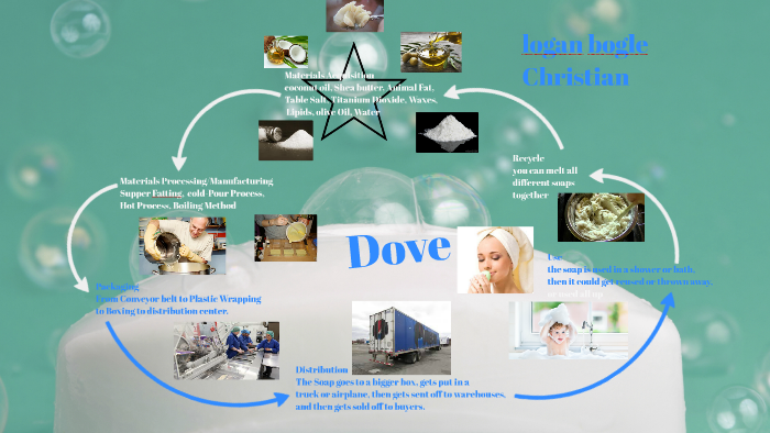 dove life cycle by Logan Bogle on Prezi