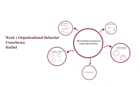 Hierarchical taxonomy of Leadership Behavior by Rachel Shi on Prezi