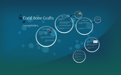 Coral Bone Grafts by Connor Holden