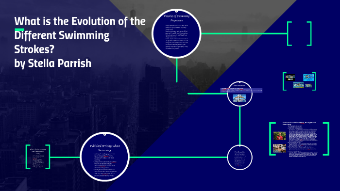 What is the evolution of the different swimming strokes? by stella ...