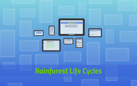 Rainforest Life Cycles by Braden B on Prezi