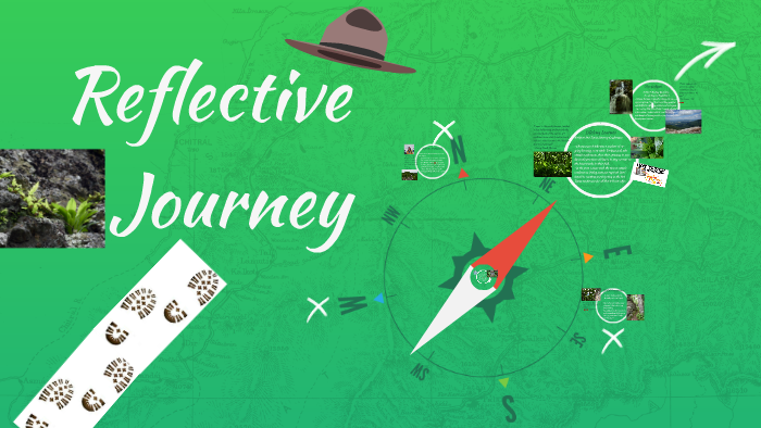 Reflective Journey by Laura Gallitz on Prezi