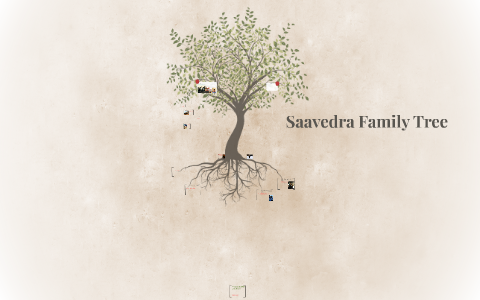 Saavedra Family Tree by Steven Saavedra on Prezi