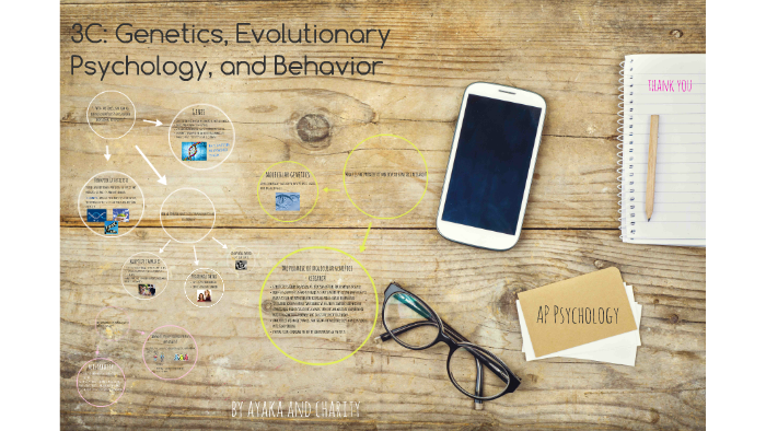 3C: Genetics, Evolutionary Psychology, and Behavior by Ayaka Shimazaki ...