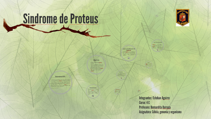 Sindrome de Proteus by Esteban Andres Aguirre on Prezi