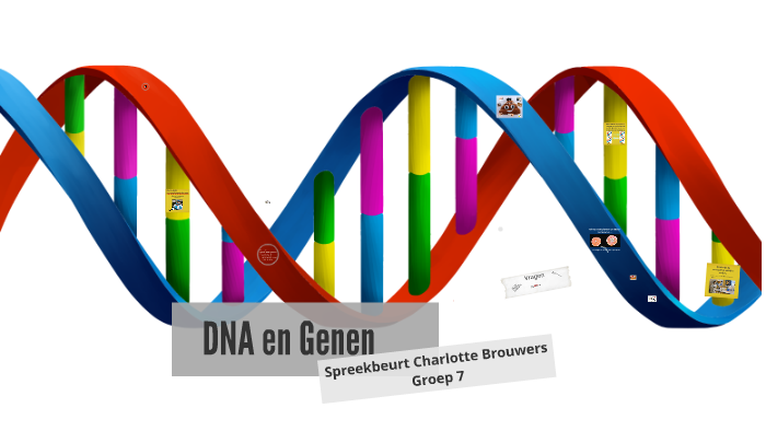 Spreekbeurt DNA en Genen by Samantha Marschalk on Prezi