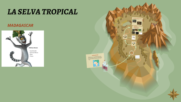 LA SELVA TROPICAL by Cristina Carrión on Prezi