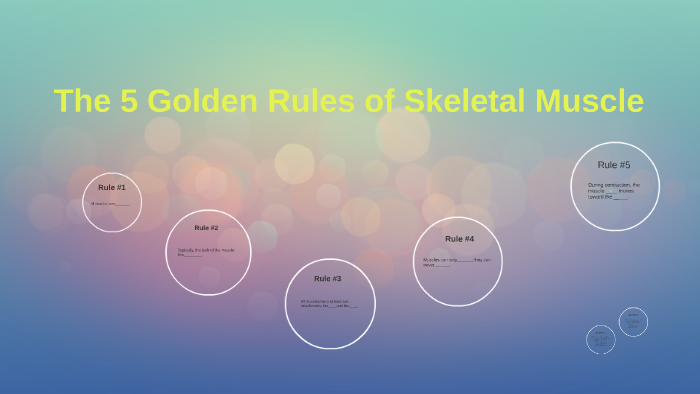 The 5 Golden Rules of Skeletal Muscle by Taylor Canavan on Prezi
