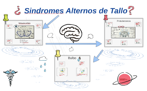 Sindromes Alternos de Tallo by samuel olivares on Prezi