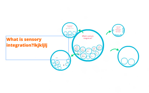 What is sensory integration? by susan busch on Prezi