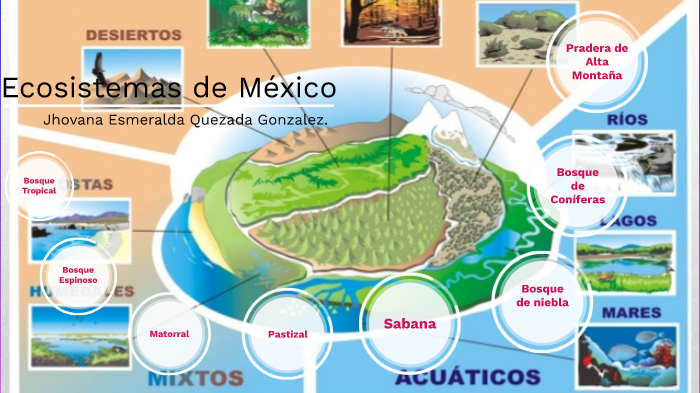 Ecosistemas de México by jhovana quezada on Prezi