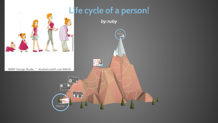 Life cycle of a person! by Engrid Hermann on Prezi