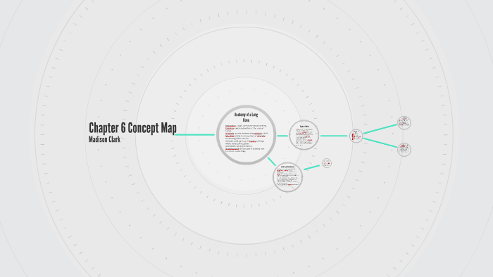 Chapter 6 Concept Map by Maddie Clark on Prezi