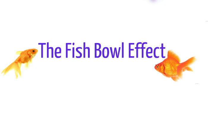 The Fishbowl Effect for Student Leaders @ CPTC by Alison Pau on Prezi