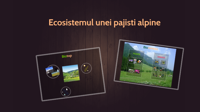 Ecosistemul unei pajisti alpine by Daria Cristiana on Prezi