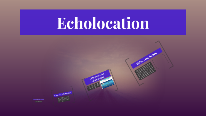 Echolocation by Syncere Brown on Prezi
