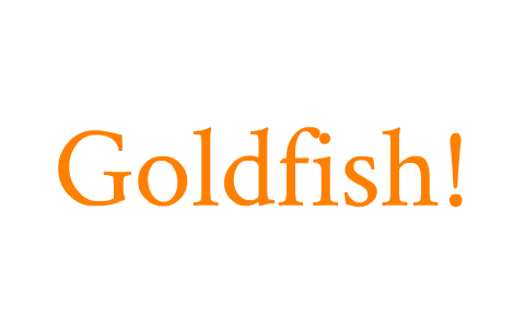 Goldfish Slogan