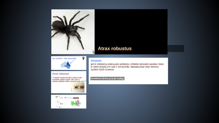Atrax robustus by Miroslav Mihalčin on Prezi
