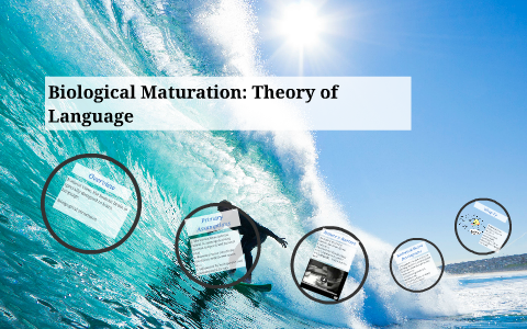 Biological Maturation: Theory of Language by Corinne Goen on Prezi