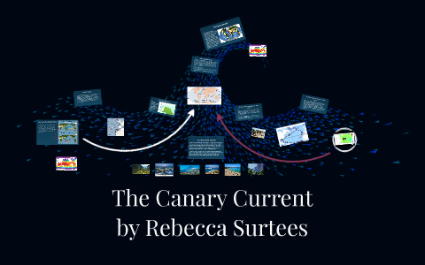 The Canary Current by Rebecca Surtees on Prezi