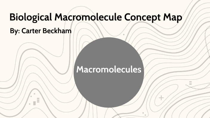 Biological Macromolecule Concept Map by Carter Beckham on Prezi