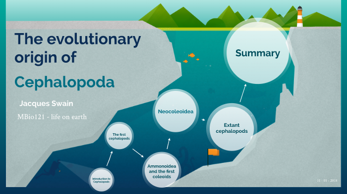 The origin of cephalopods by Jacques Swain on Prezi