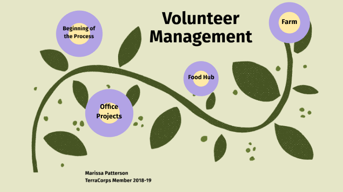 Volunteer Management process map by Marissa Patterson on Prezi