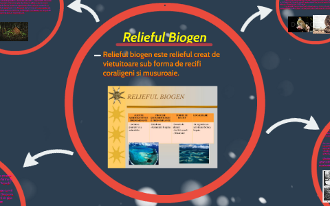 Relieful Biogen by Stefan Moisanu on Prezi