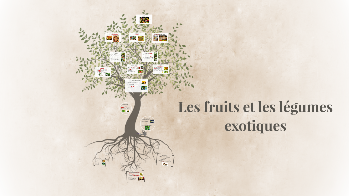 Les fruits et les légumes exotiques by Florence Molinié on Prezi