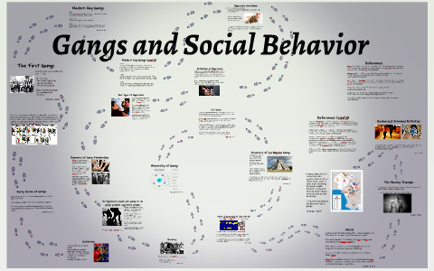 Gangs and Social Behavior by Winnie Fong on Prezi
