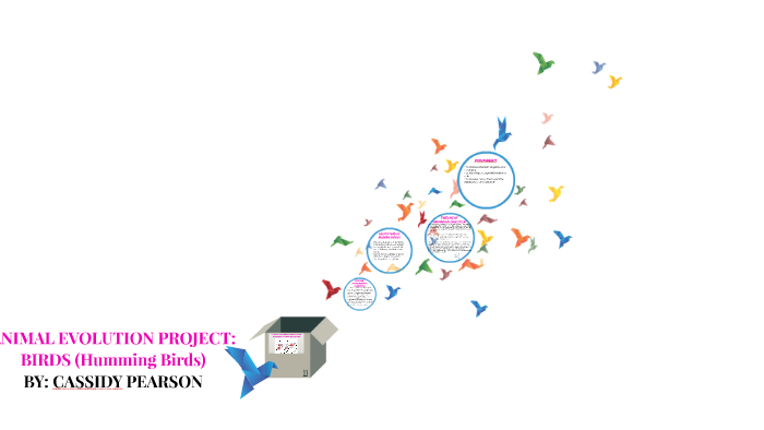 ANIMAL EVOLUTION PROJECT: BIRDS by Grace Desiree Ehui on Prezi