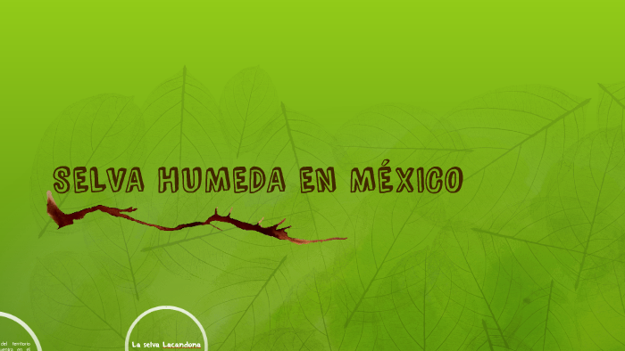SELVA HUMEDA EN MÉXICO by Dany Ruiz on Prezi