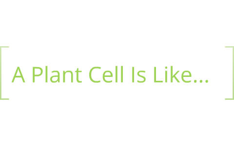 Plant Cell Analogy- David Campbell by David Campbell on Prezi