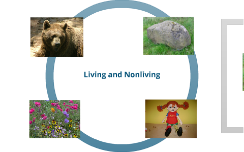 Ffgghh by Andrea Harner on Prezi