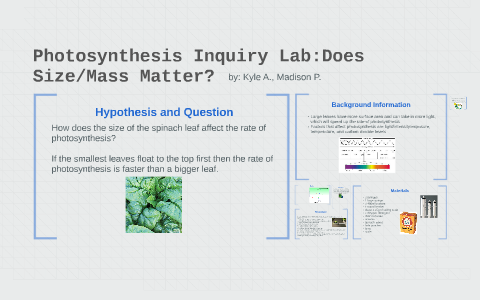 Photosynthesis Inquiry Lab:Does Size Matter? by Madison Parker on Prezi