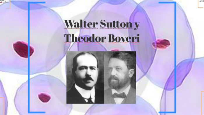Walter Sutton y Theodor Boveri by Francis Noriega on Prezi