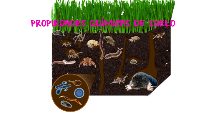 edaf. prop quimicas by on Prezi