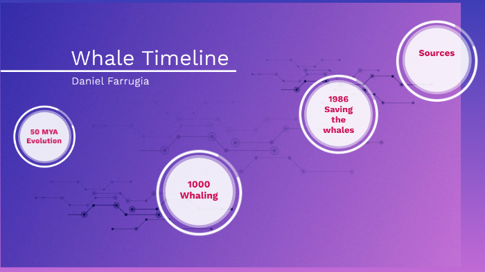Whale timeline by Daniel Farrugia on Prezi