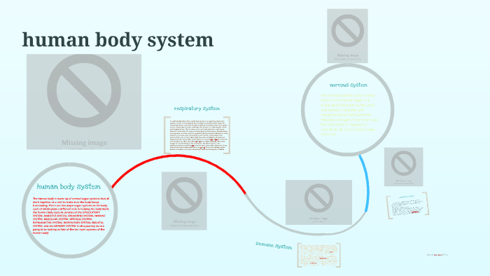Human body system brochure by Angel Mayora on Prezi