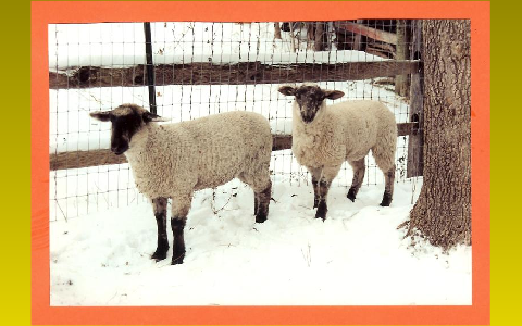 Sustainable Food Cycle by Meredith Hadley on Prezi