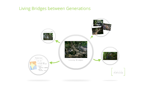 Strangler Fig Bridge by Scarlet Liu on Prezi